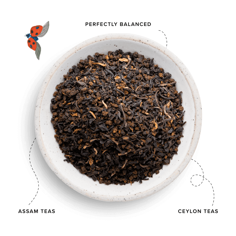 Premium Teas for Every Moment | Shop Finest Blends at 96° Tea – 96 ...